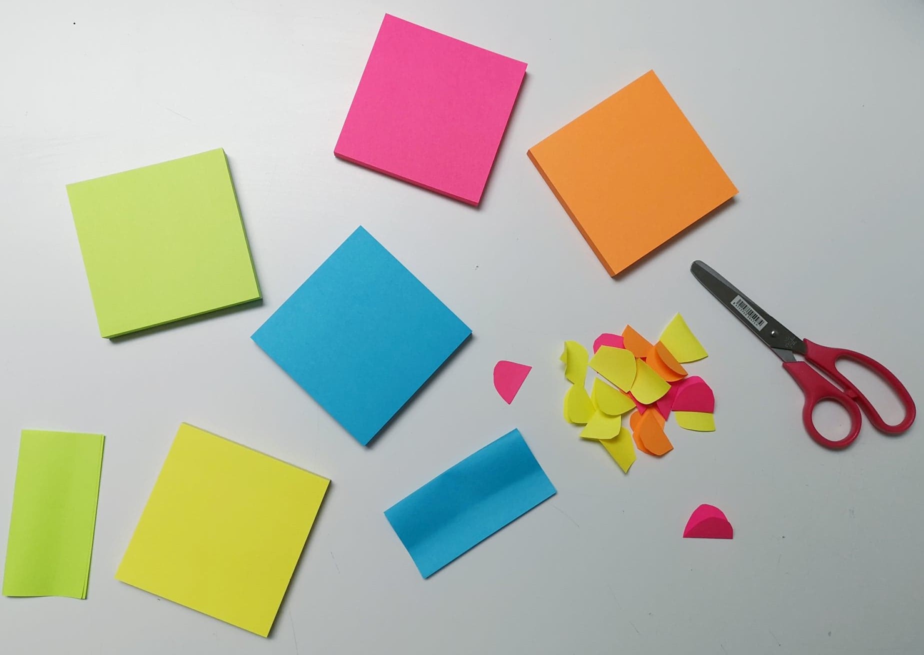 Cum să-ți personalizezi un pește-curcubeu - Editura Arthur